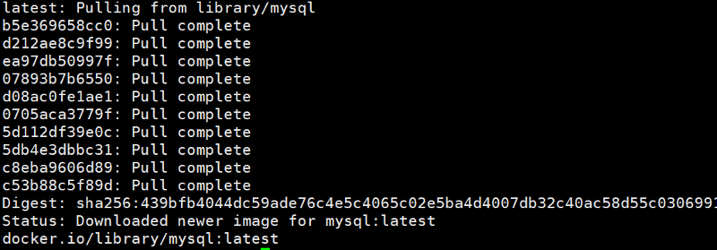 在1panel上部署docker registry搭建私有Docker加速仓库 | iweekyi-空中的浩洋